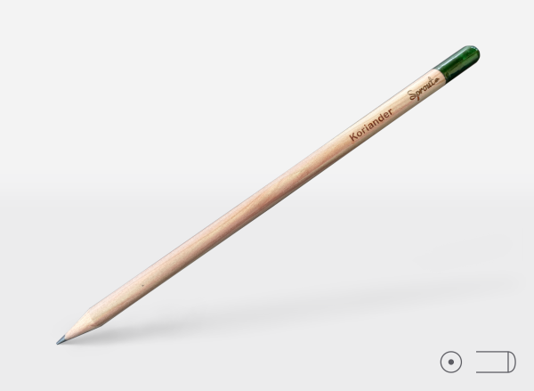 Sprout® Bleistift Koriander